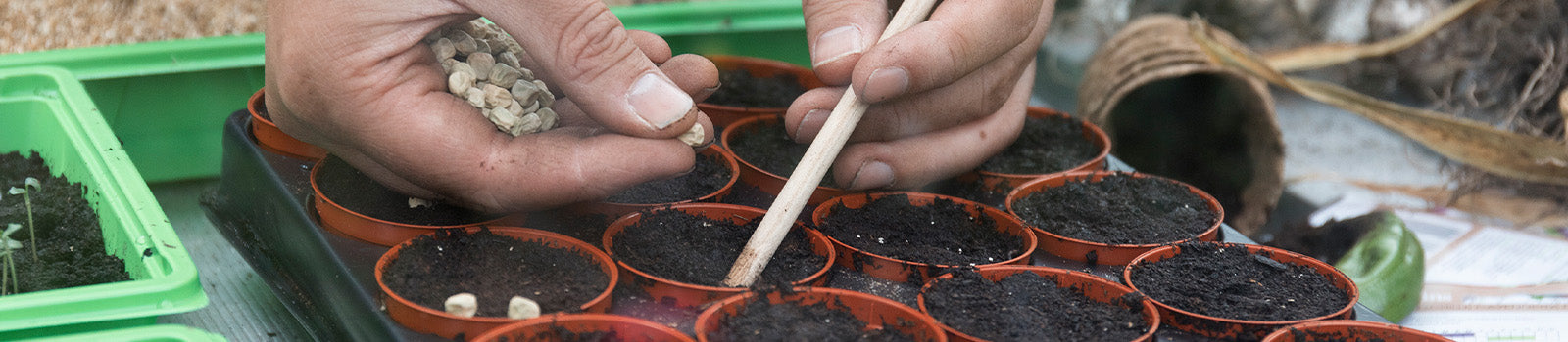 Seeds to Sow in May - Seeds – Unwins UK