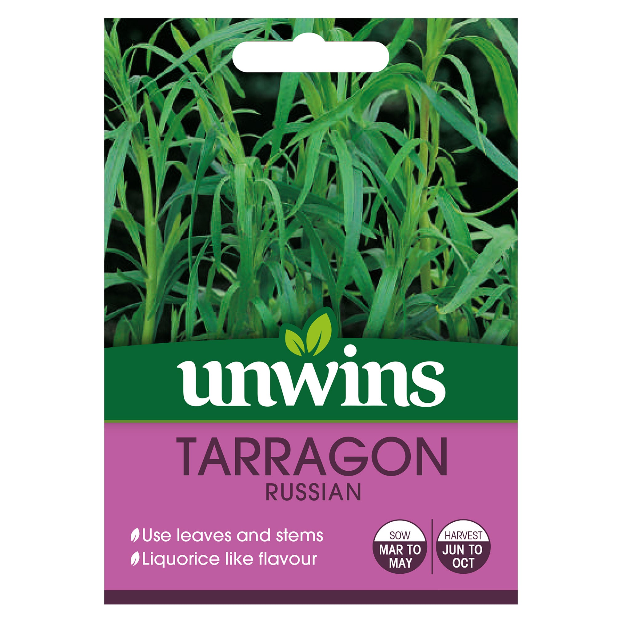 Unwins Russian Tarragon - Herb Seeds – Unwins UK