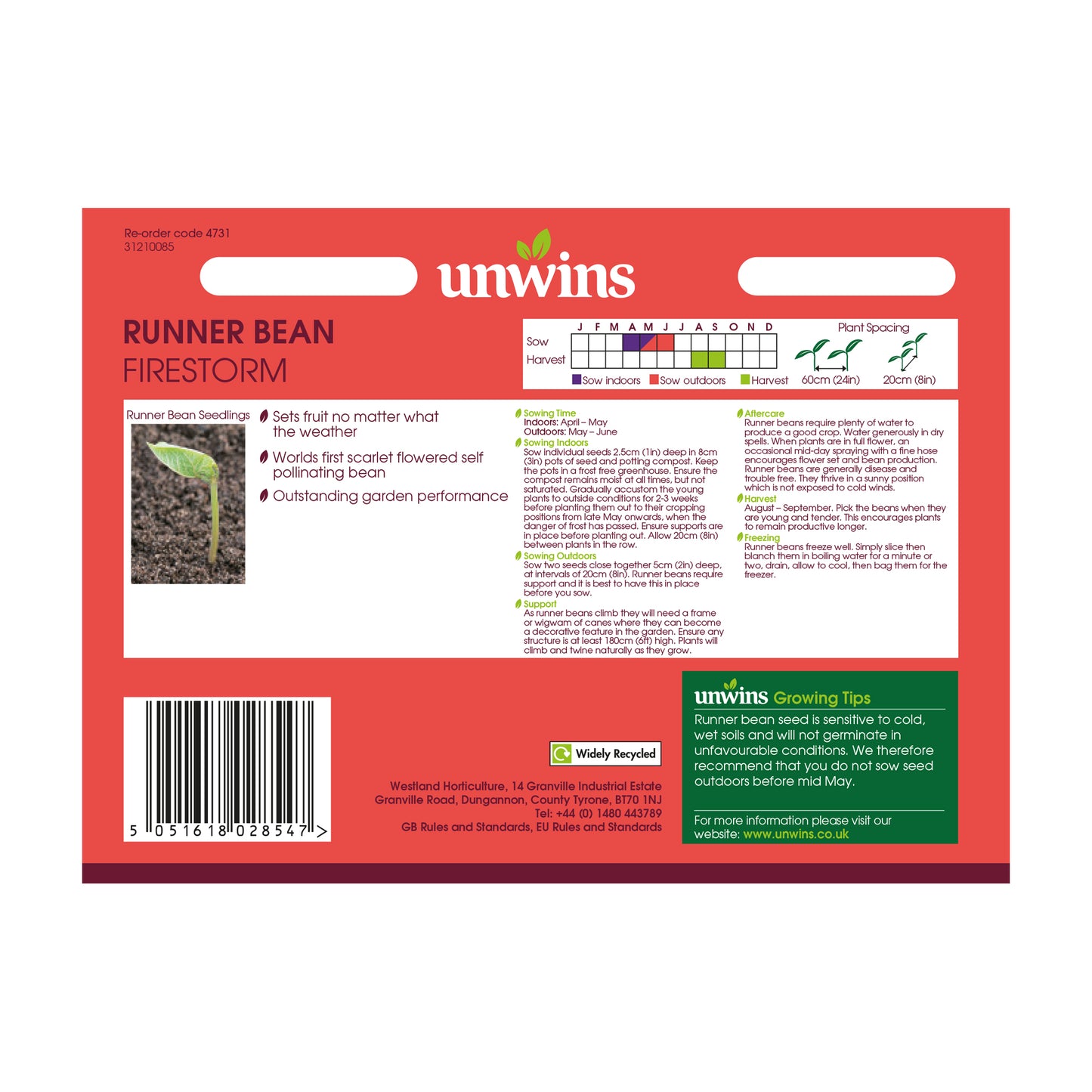 Unwins Runner Bean Firestorm - Vegetable Seeds – Unwins UK