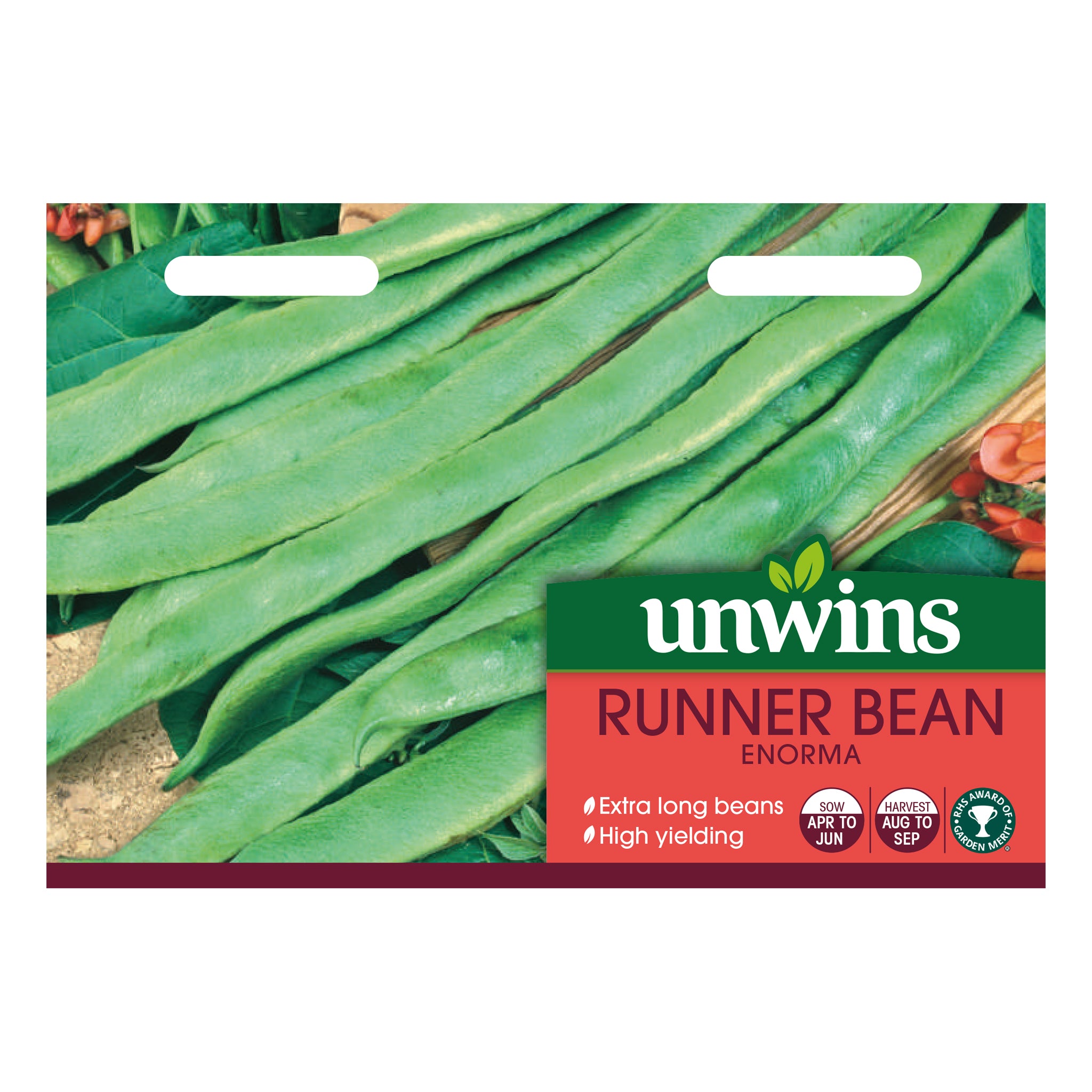 Unwins Runner Bean Enorma - Vegetable Seeds – Unwins UK