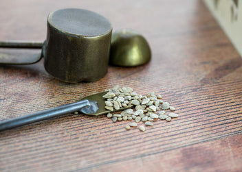 Unwins Seeds – Unwins UK