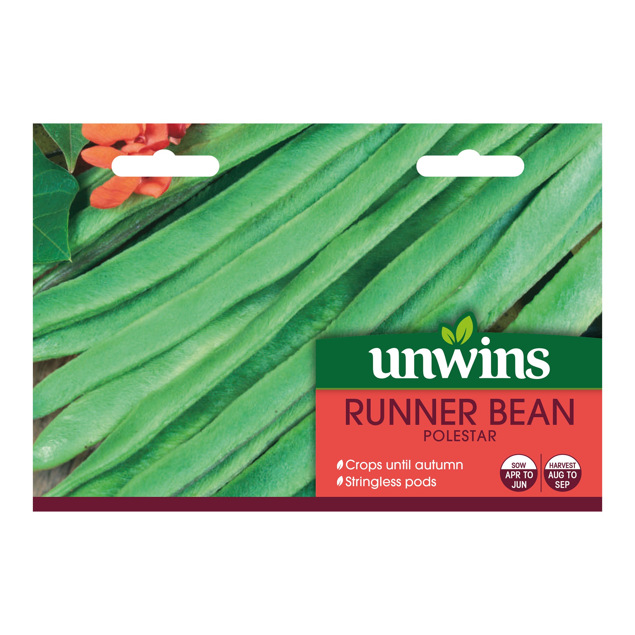 Vegetable Seeds - Vegetable Seeds Online UK – Unwins UK