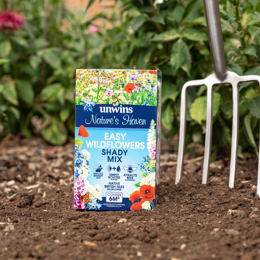 Perennial Seeds - Seeds – Unwins UK