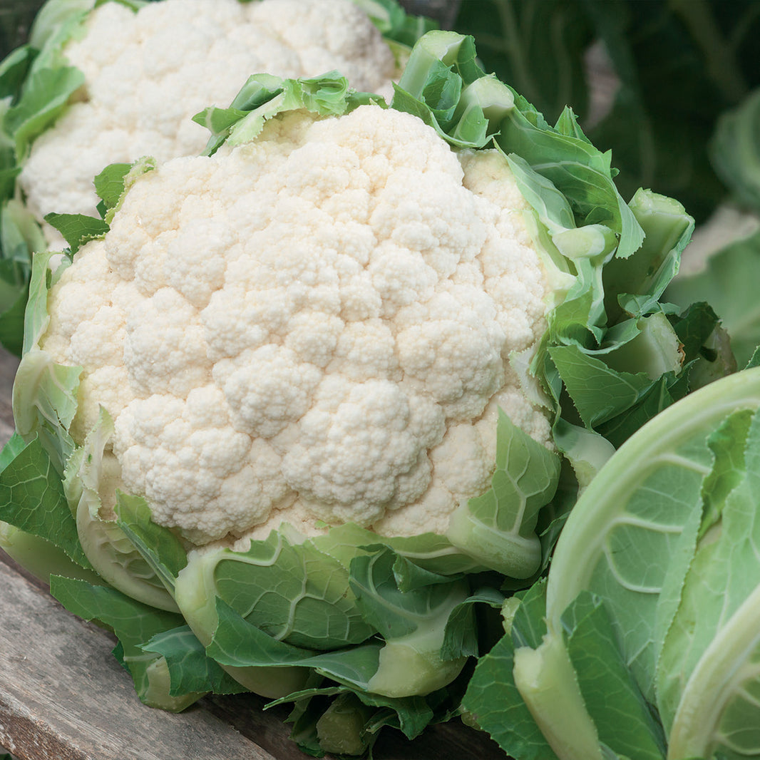 Cauliflower Seeds - Vegetable Seeds – Unwins UK