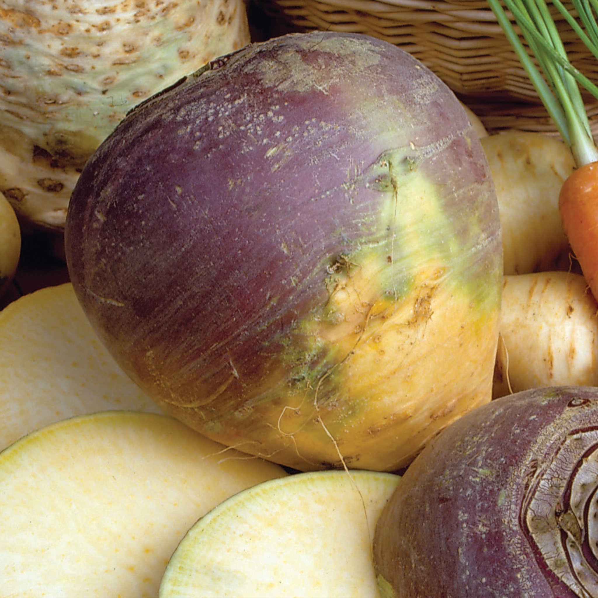 Unwins Swede Marian Seeds - Vegetables – Unwins UK