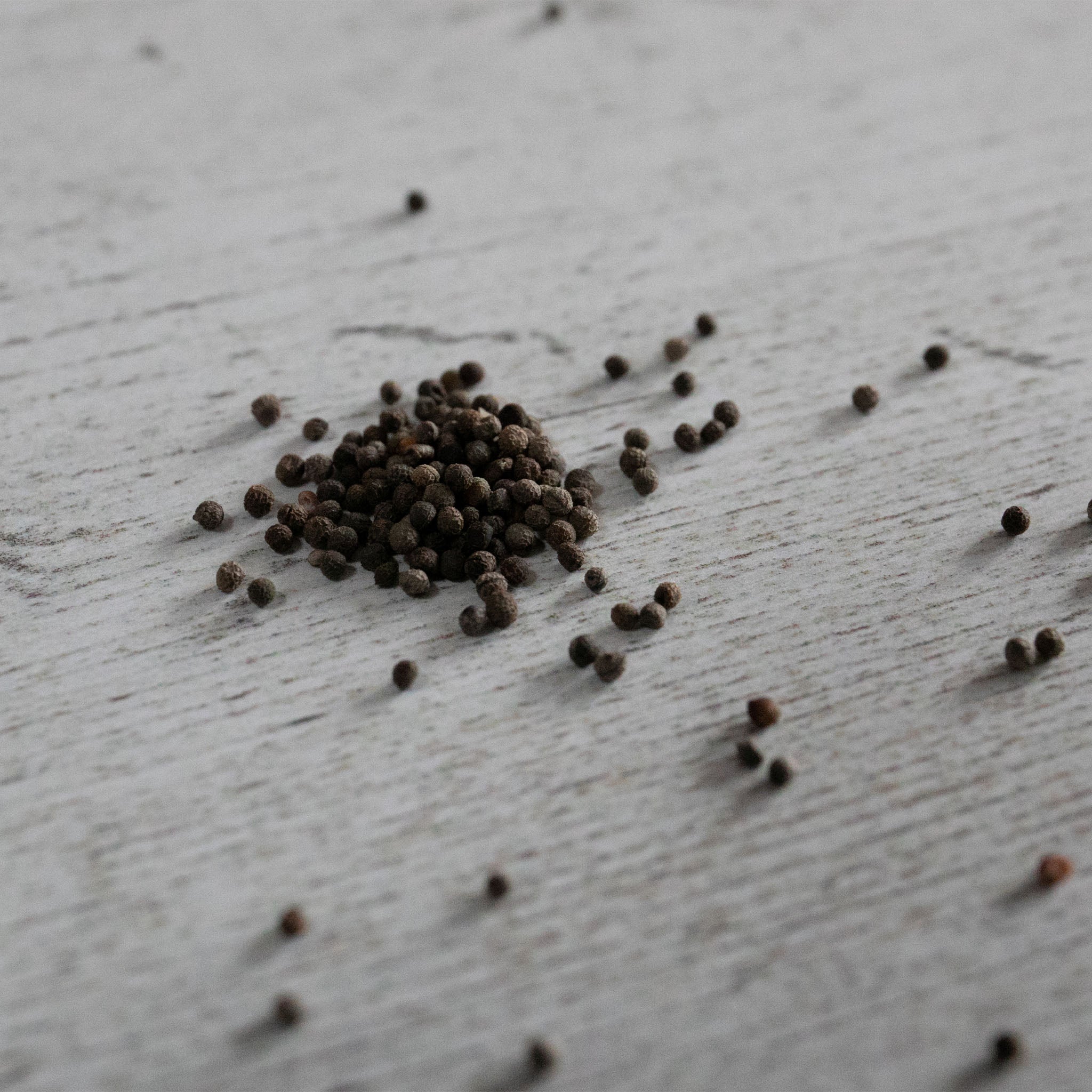 Unwins Californian Poppy Fruit Crush Seeds – Unwins UK